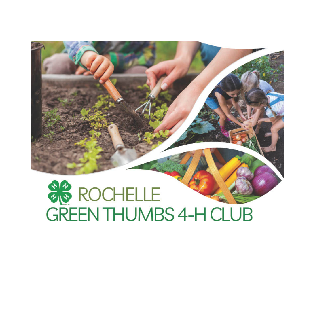 Flagg-Rochelle Public Library District Kids & Families Programs